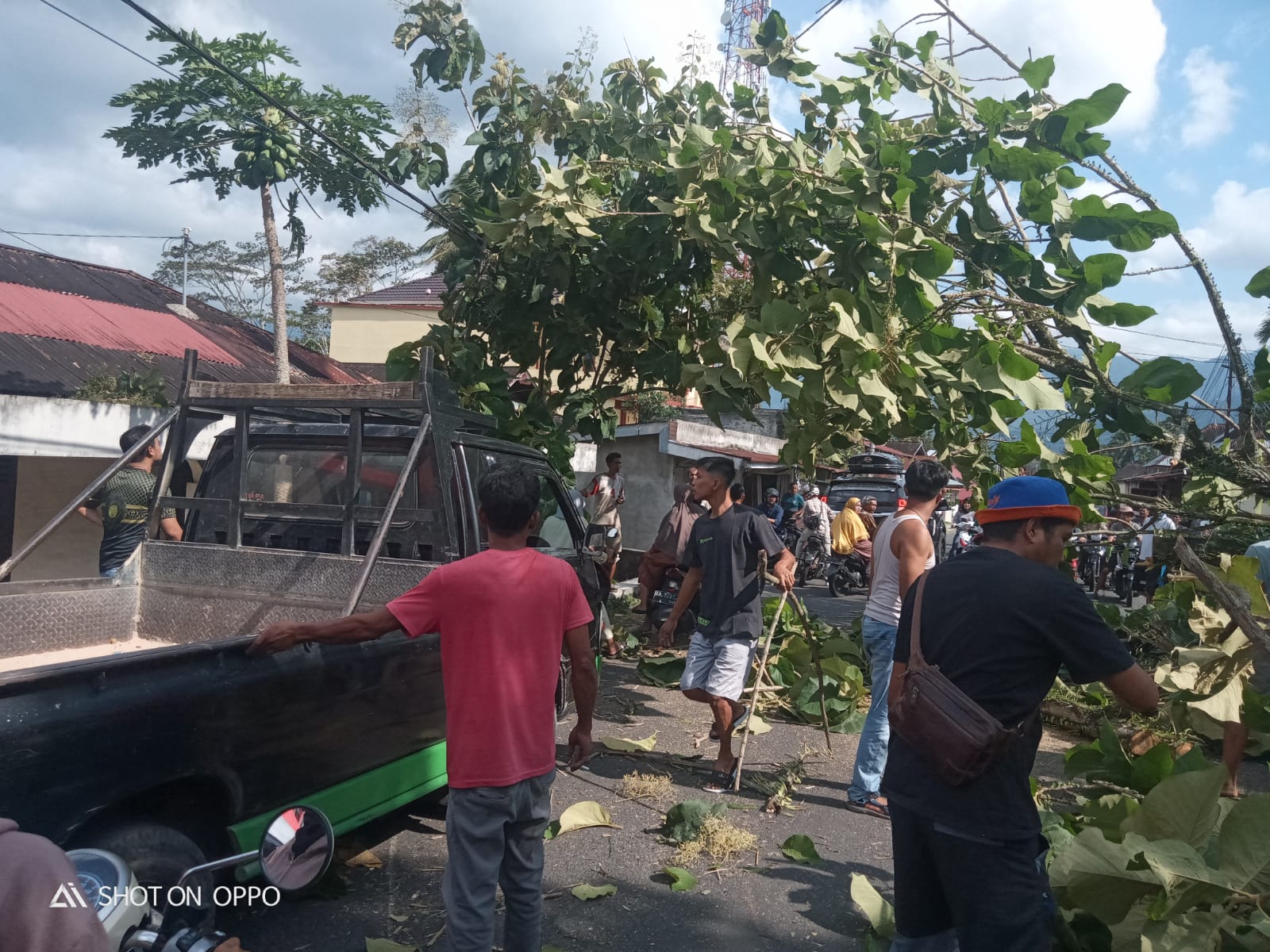 Pohon Tumbang di Bayua, Akses Jalan Propinsi Padang Lua- Manggopoh ...