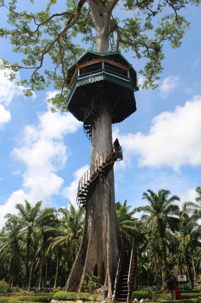Klarifikasi Tower Rumah Pohon PT.AMP, Agung : Tidak Untuk Umum, Tidak ...