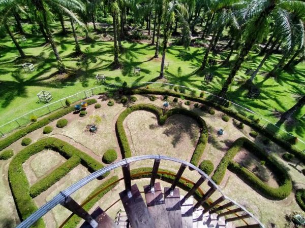 Menikmati Keindahan Rumah Pohon Tower PT AMP di Kabupaten Agam – kaba12